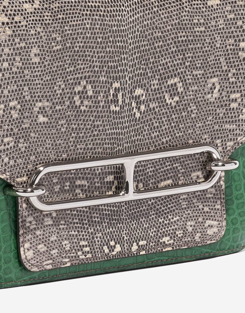 Hermès Roulis 18 Ombre Lizard / Matte Alligator Vert Cactus | SACLÀB