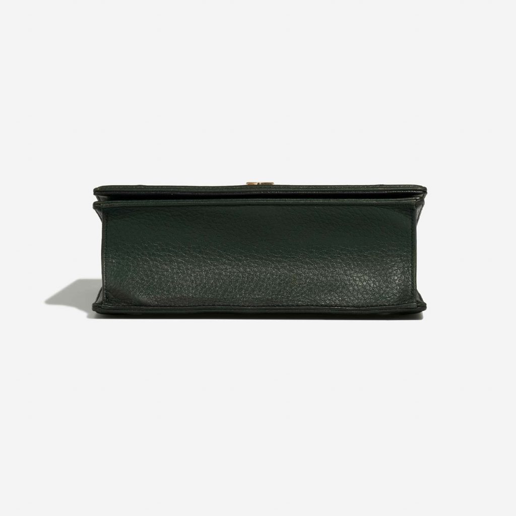 Dior Diorama Medium Calf Green | SACLÀB