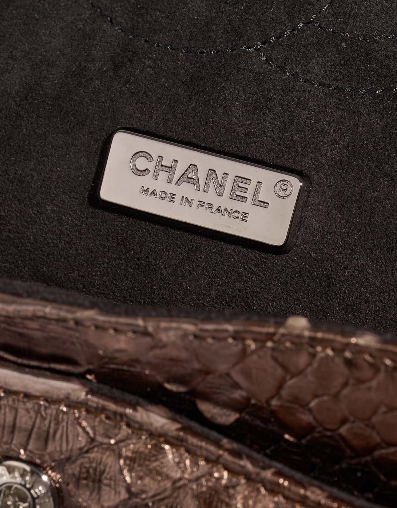 Chanel Timeless Medium Python Bronze | SACLÀB